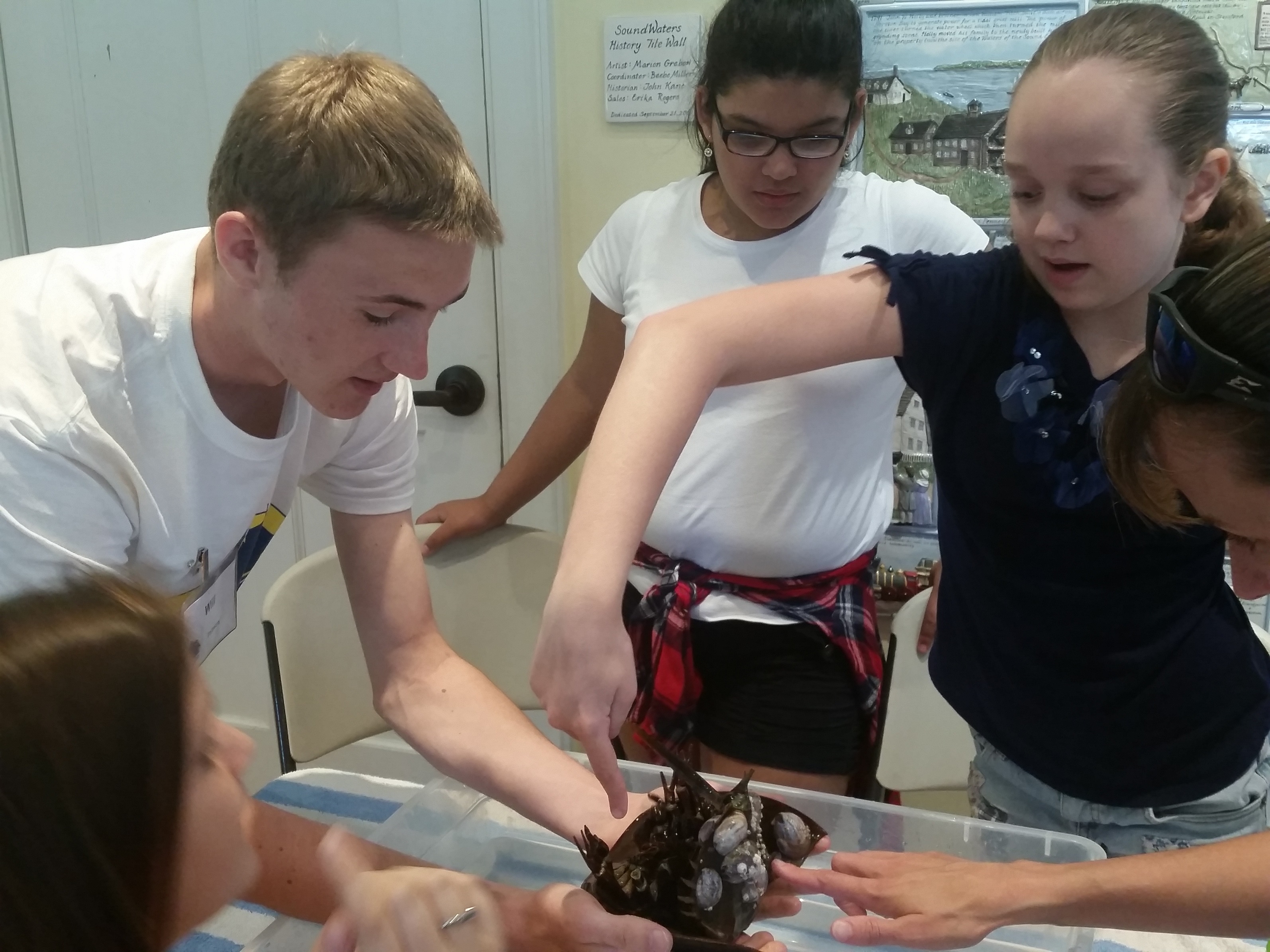 Interns in action! - SoundWaters