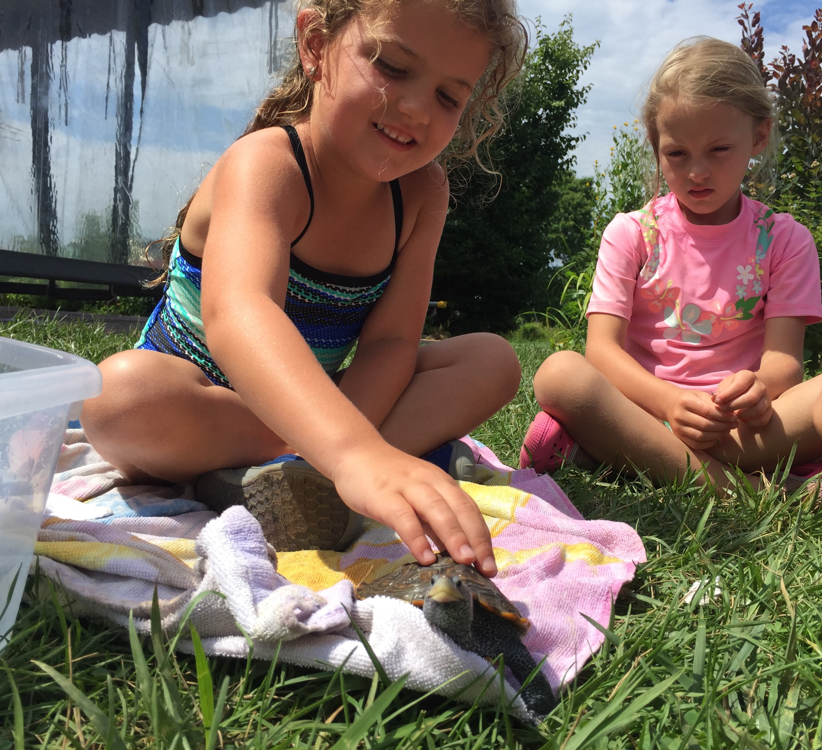 Our Youngest Campers Meet Our Youngest Terrapin! - SoundWaters