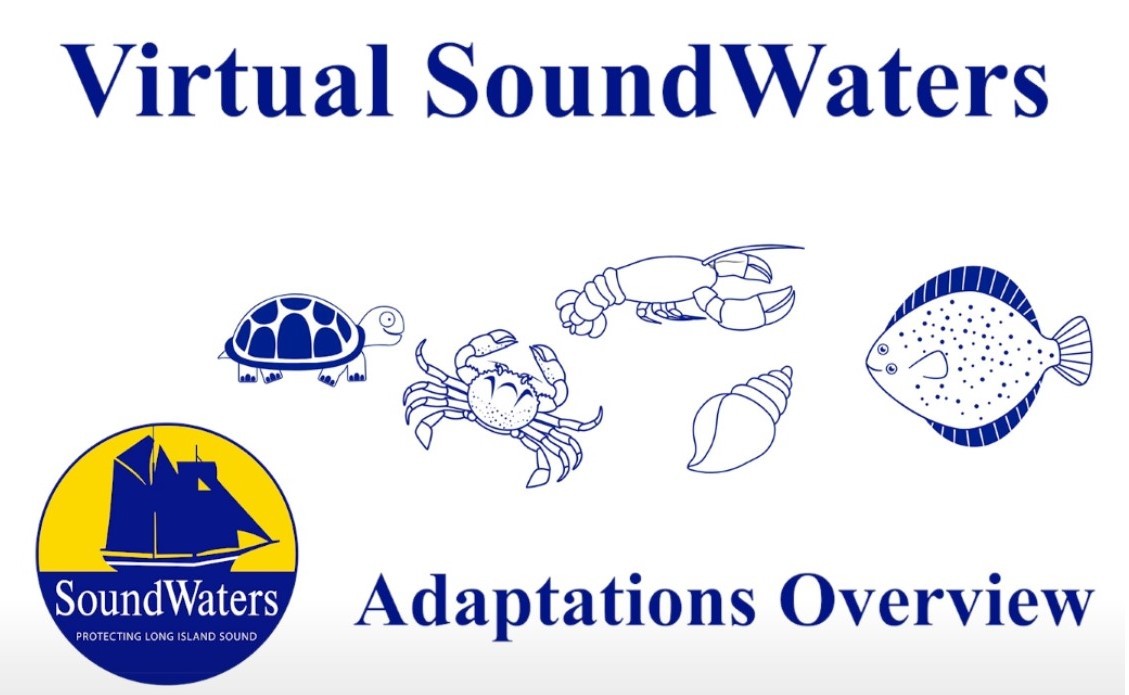 Distance Learning Materials Grades 3-5 - SoundWaters