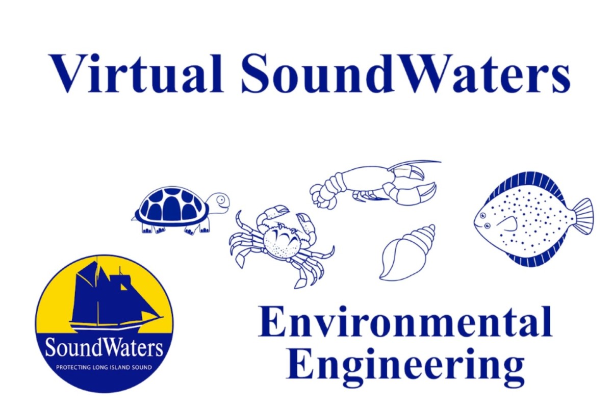 Distance Learning Units - SoundWaters