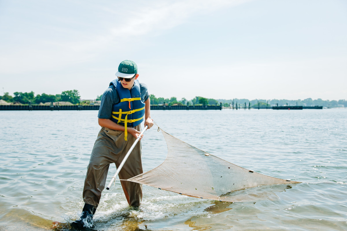 SoundWaters Research Intensive | Marine Science Program For High School ...