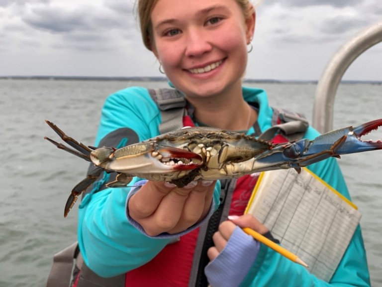 SoundWaters Research Intensive | Marine Science Program For High School ...