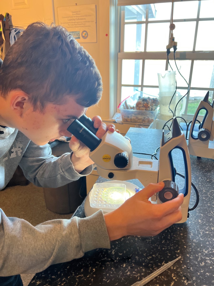 SoundWaters Research Intensive | Marine Science Program For High School ...