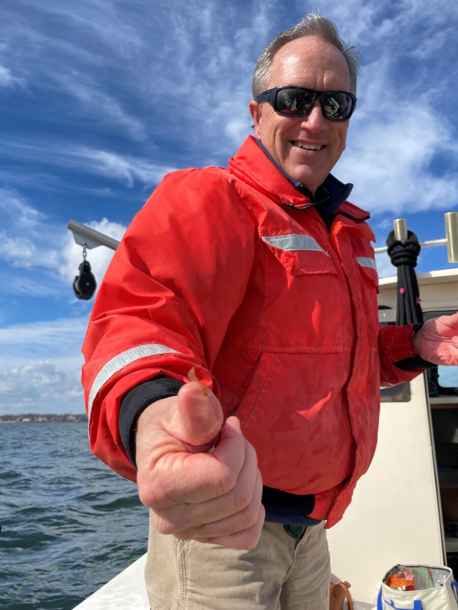 SoundWaters Kelp Farm | Sustainable Farming On Long Island Sound